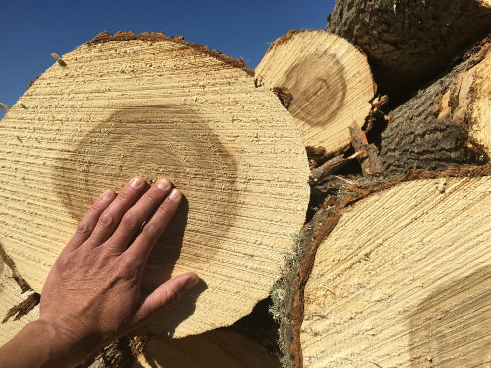 Biocycle Farm – MWMC Partners